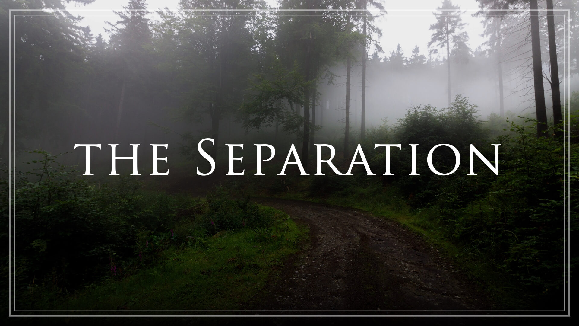 The Separation - Understanding Your True Situation.